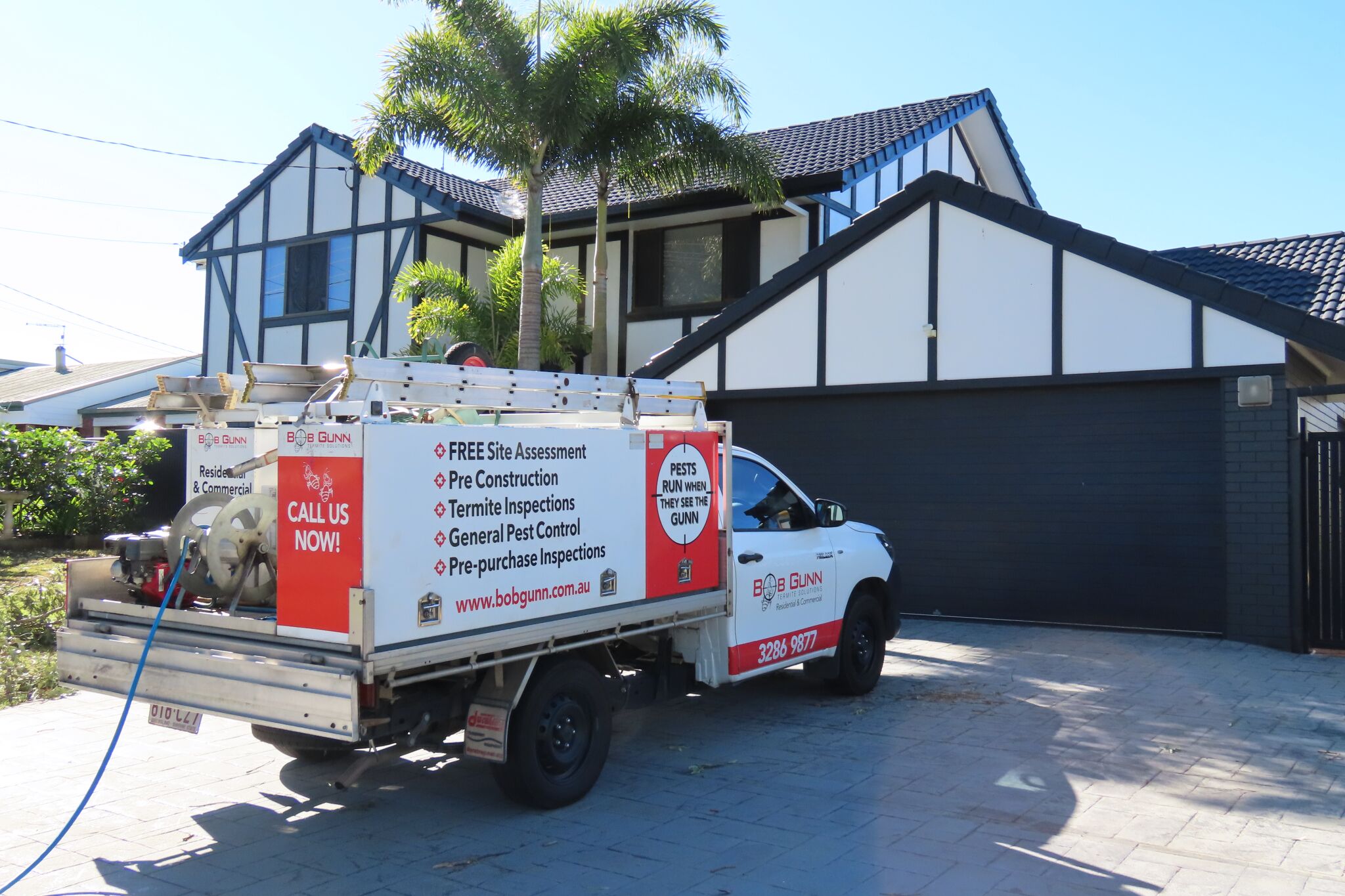 Flying Ants in Brisbane - Bob Gunn Termite Solutions